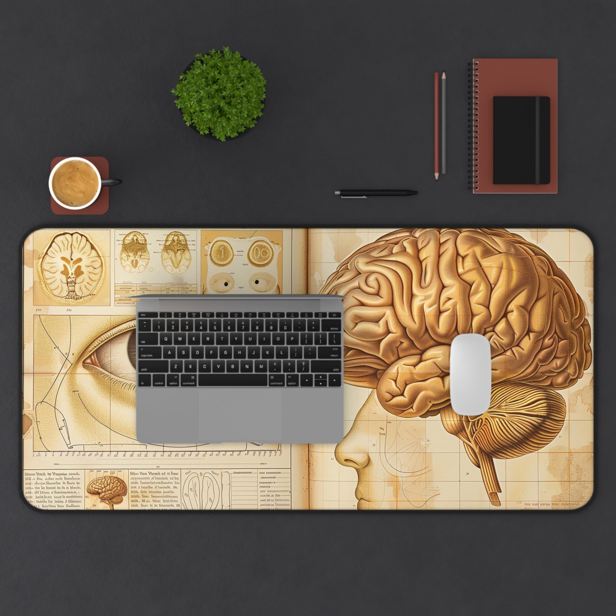 Vintage Anatomy Desk Mat, Human Brain and Eye Illustration, Antique ...