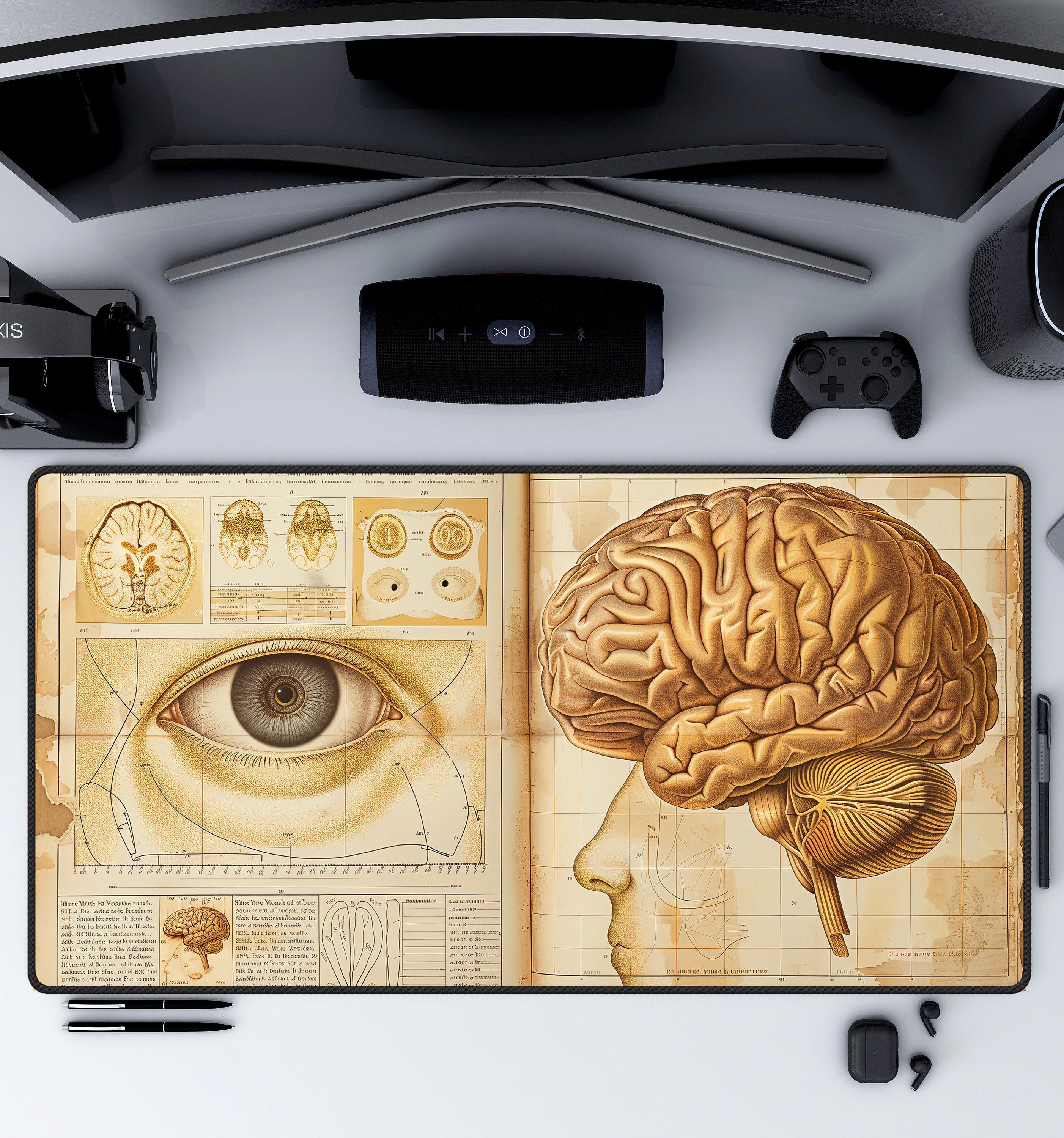 Vintage Anatomy Desk Mat, Human Brain and Eye Illustration, Antique ...