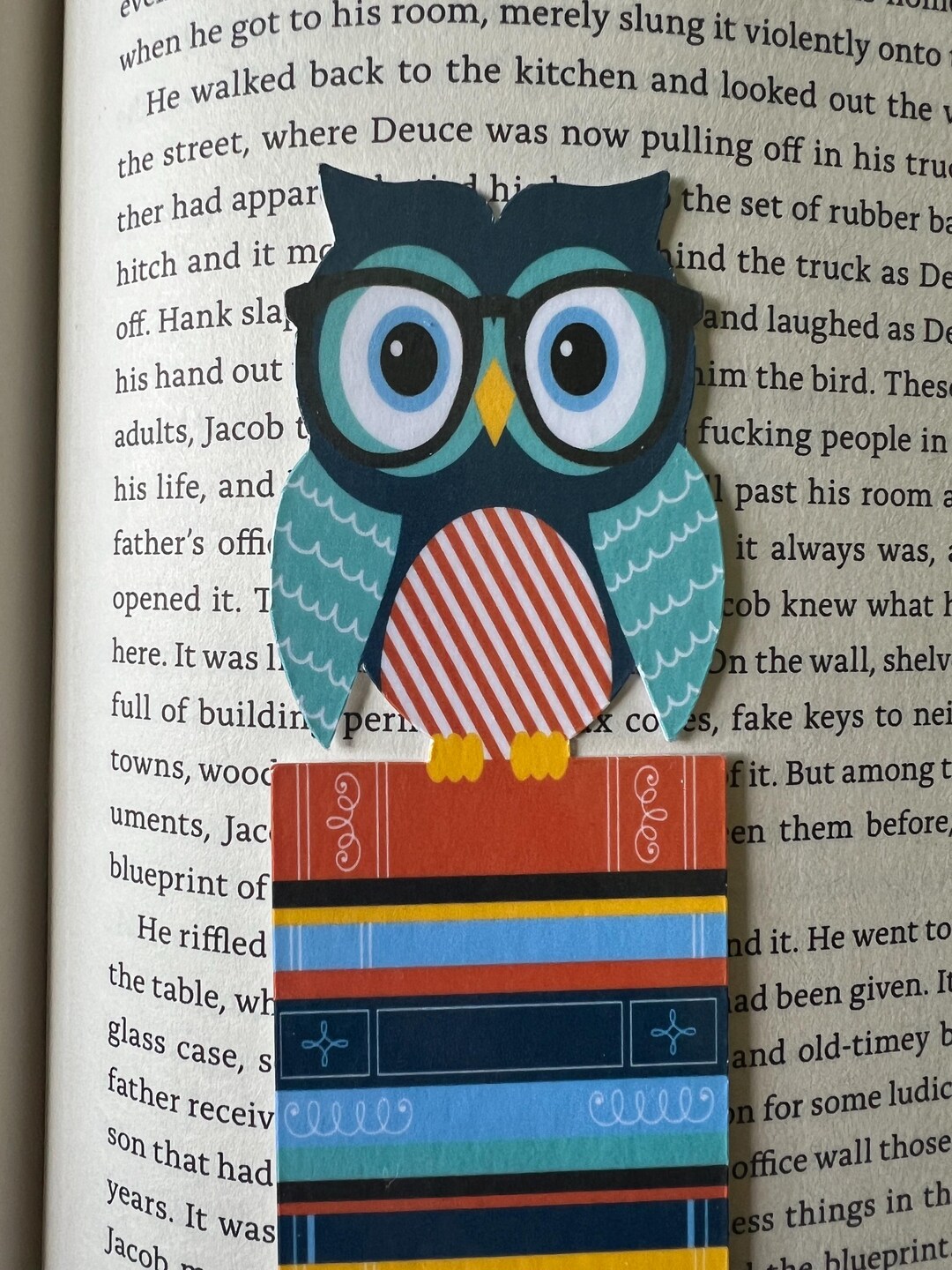 Owl on Books Bookmark, Laminated - Etsy