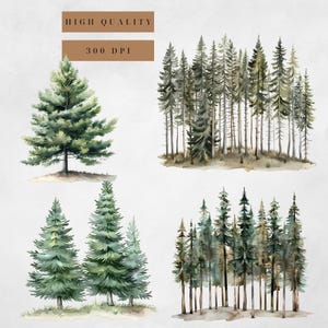 Woodland Animals Watercolor Clipart Forest Animals, Cute Baby Animals ...