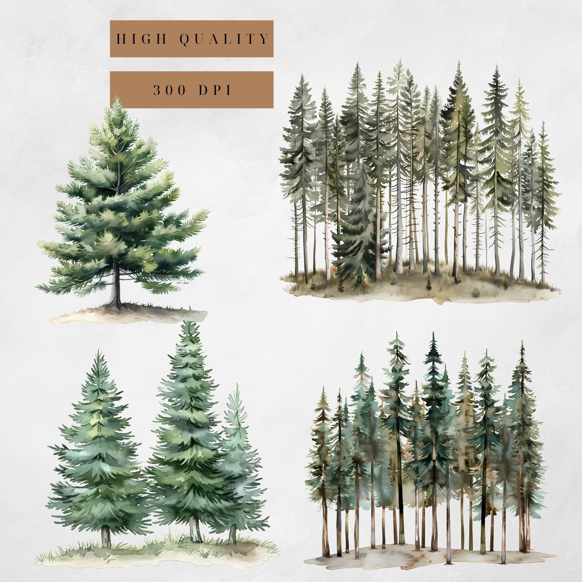 Woodland Animals Watercolor Clipart Forest Animals, Cute Baby Animals ...