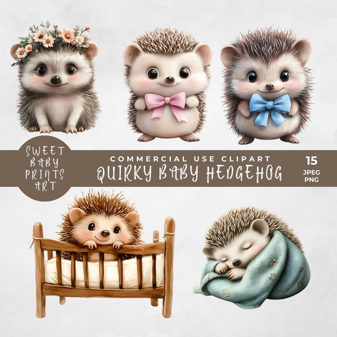 Quirky Baby Hedgehog Clipart, Cute Baby Animal Illustrations or Images ...