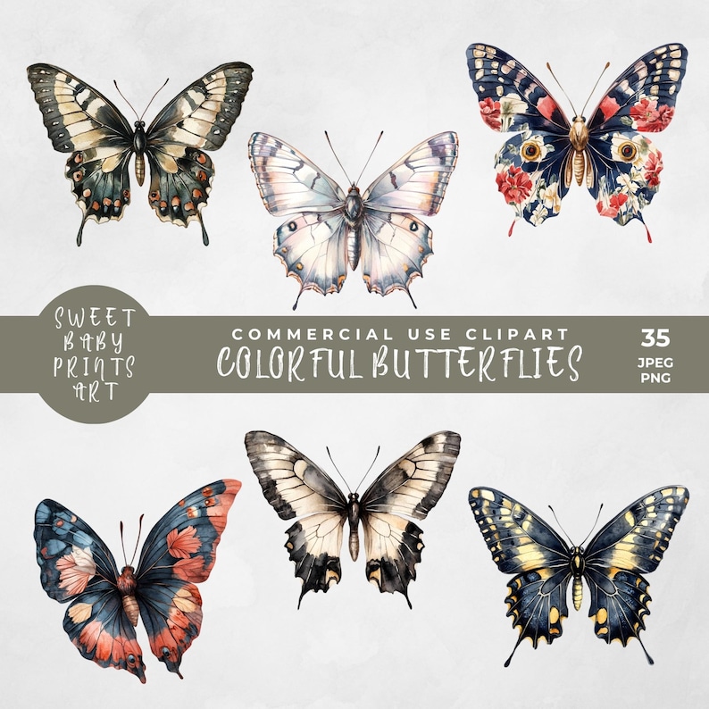 Colorful Butterflies Clipart Images, Decor Illustrations for Special ...
