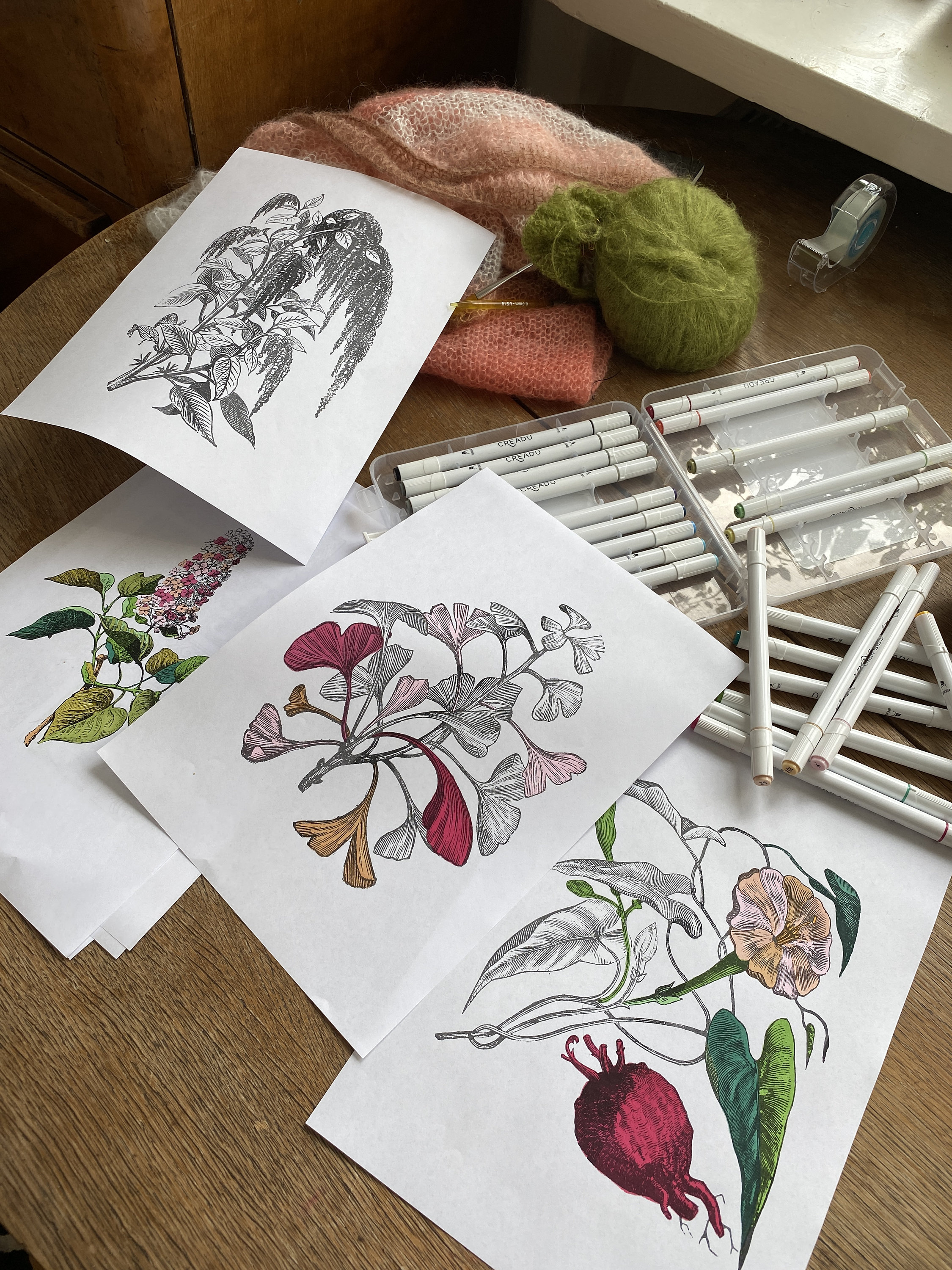 Botanical Coloring Pages Adult Coloring Book, Vintage Flower ...