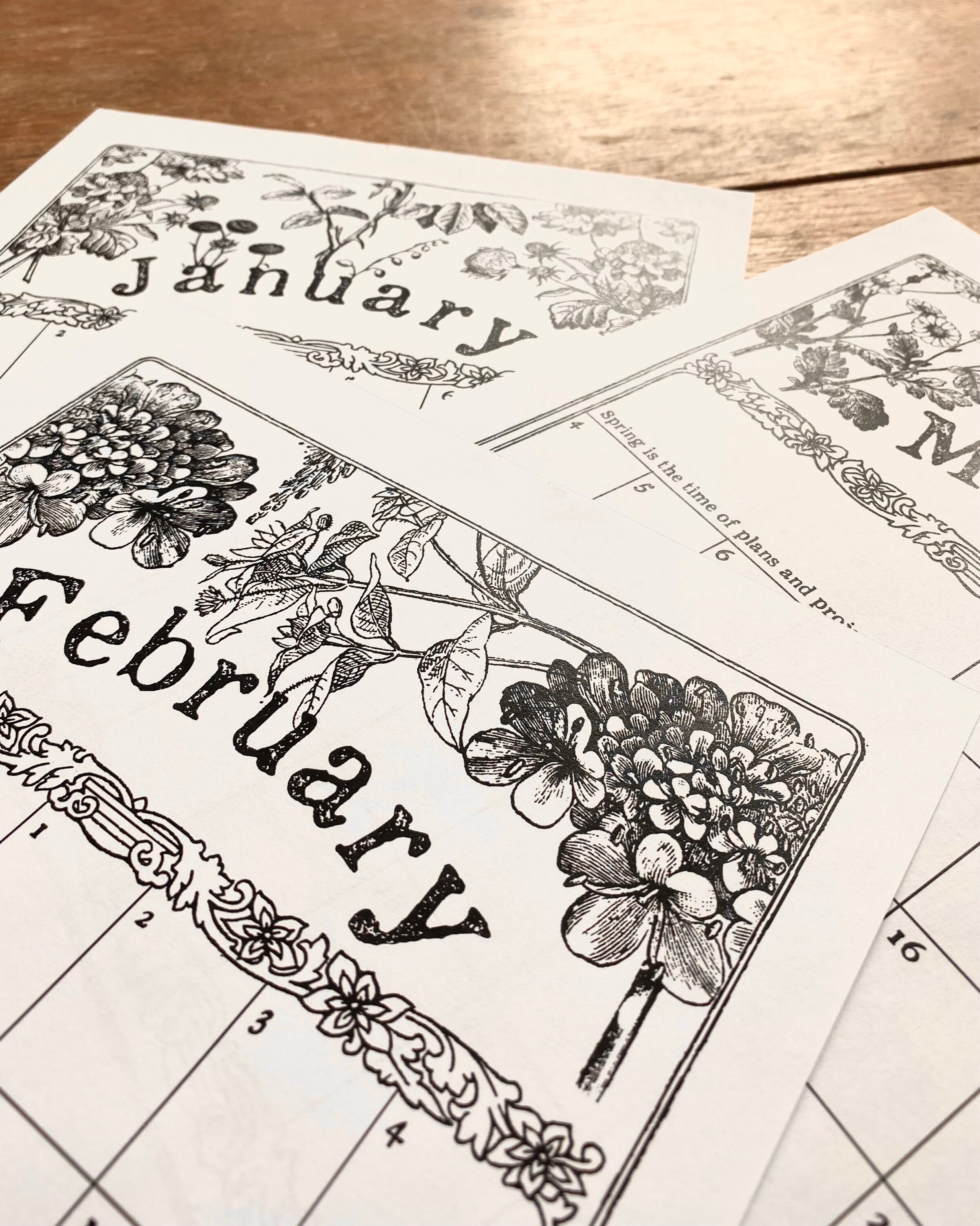 2024 Printable Calendar Whimsical, Vintage, Botanical Art, Witch ...