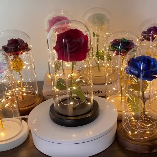 Rose in Glass Dome - Etsy