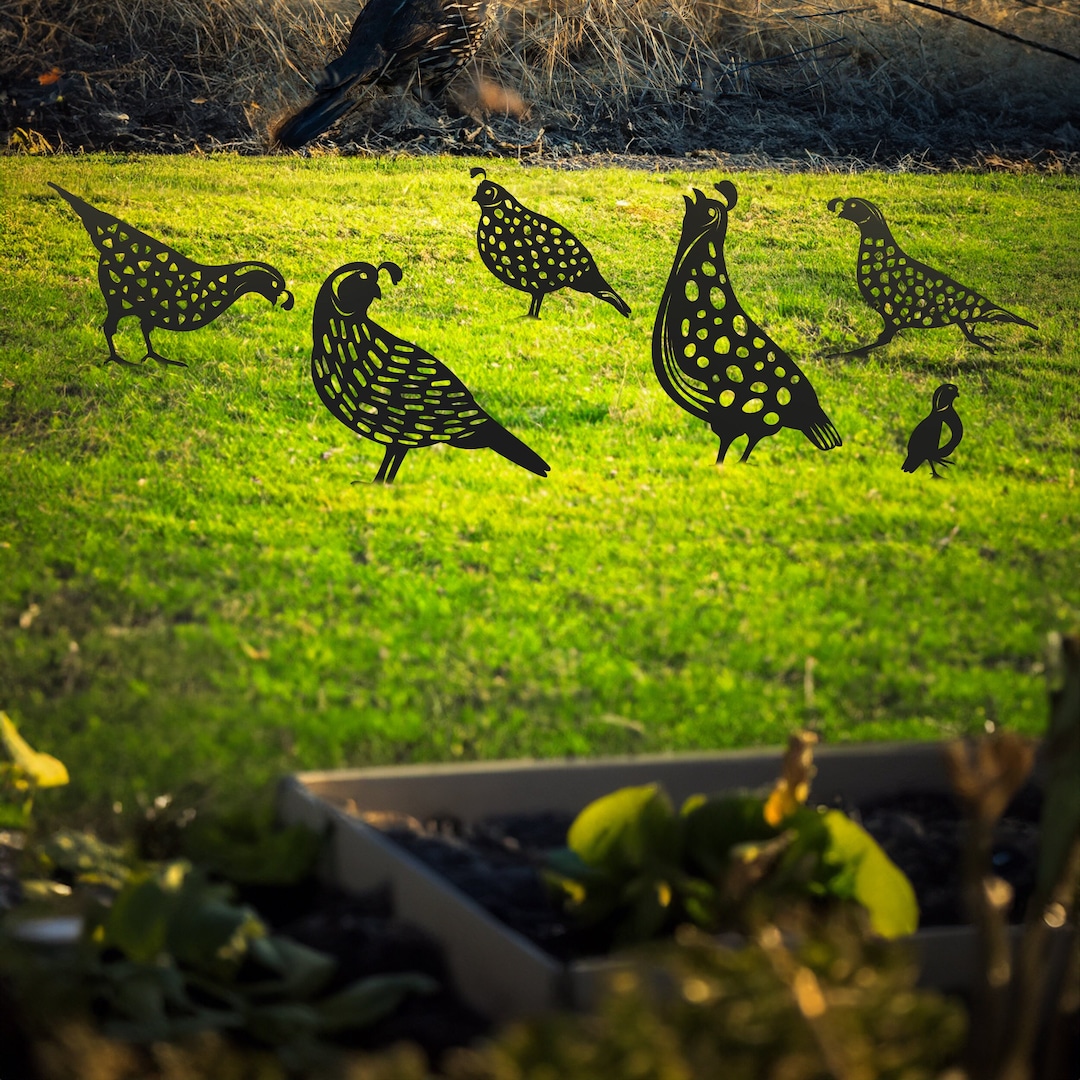 Quail Yard Art Set Decoration Outdoor Quail Decor for Your Lawn - Etsy