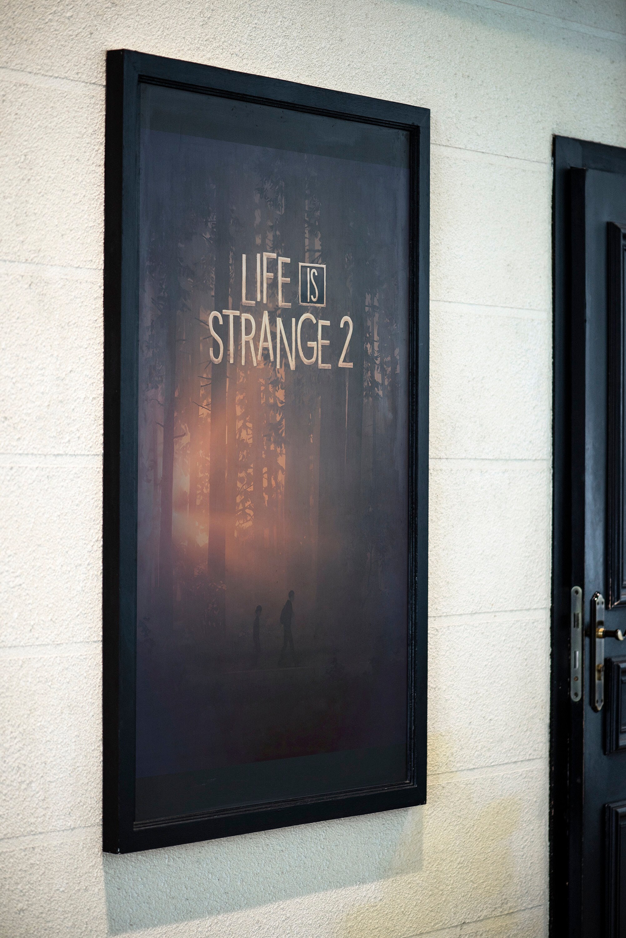 Life is Strange 2 Poster Gaming Poster Life is Strange Print Video Game ...