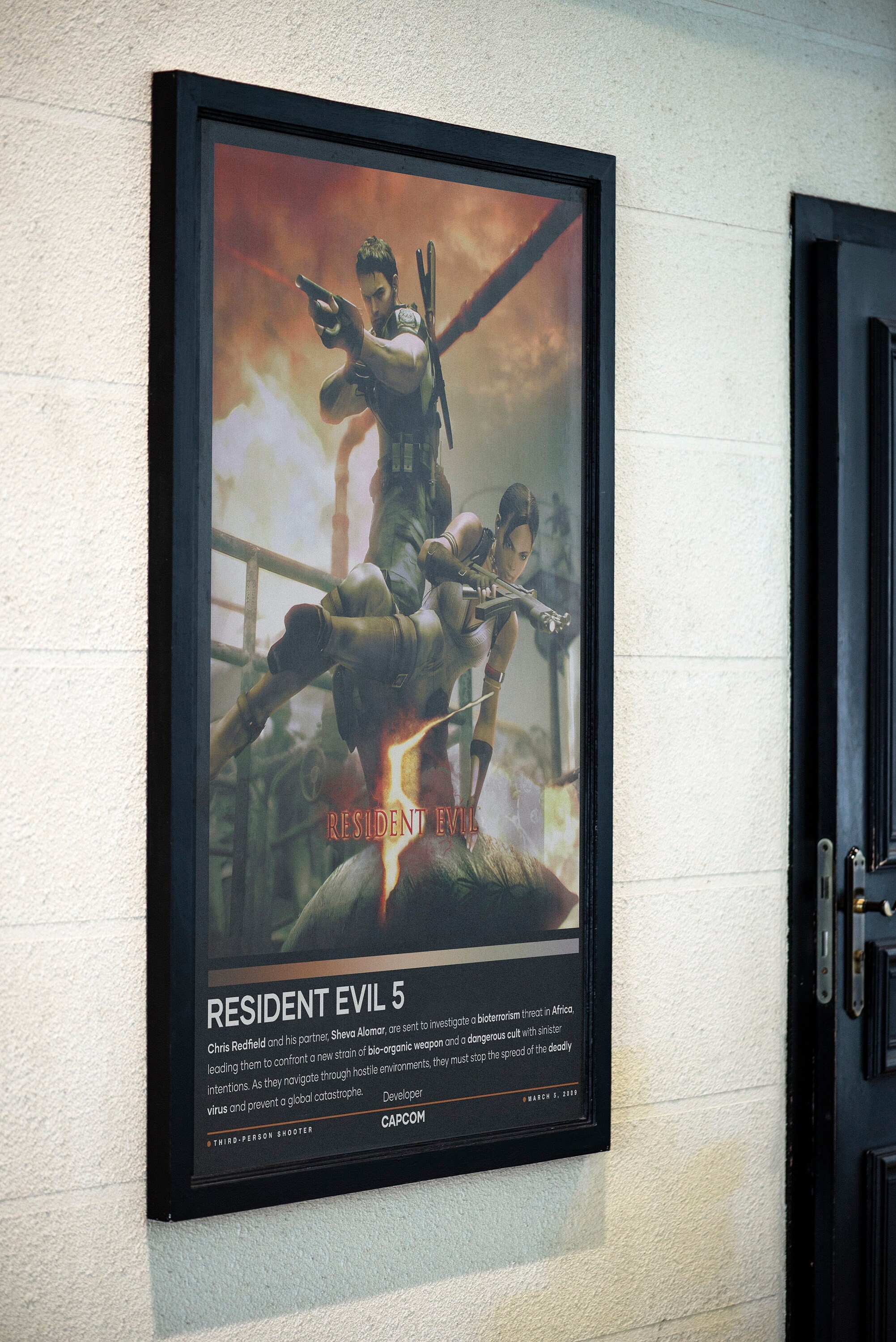 Resident Evil 5 Poster, Gaming Posters, 4 Colors, Video Game Posters ...