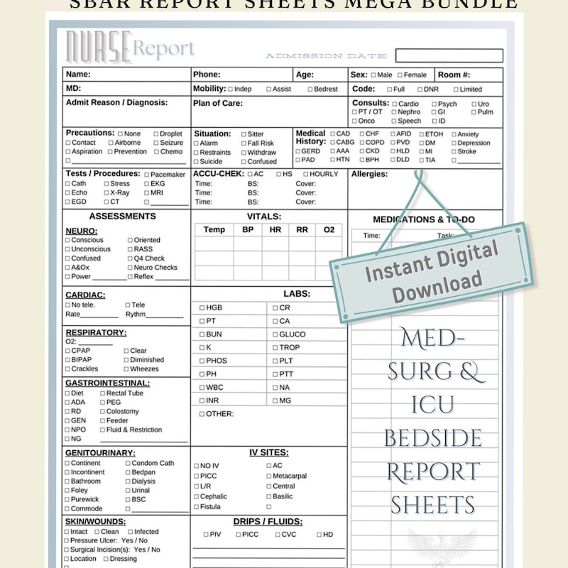 Sbar Nurse Report Sheet - Etsy