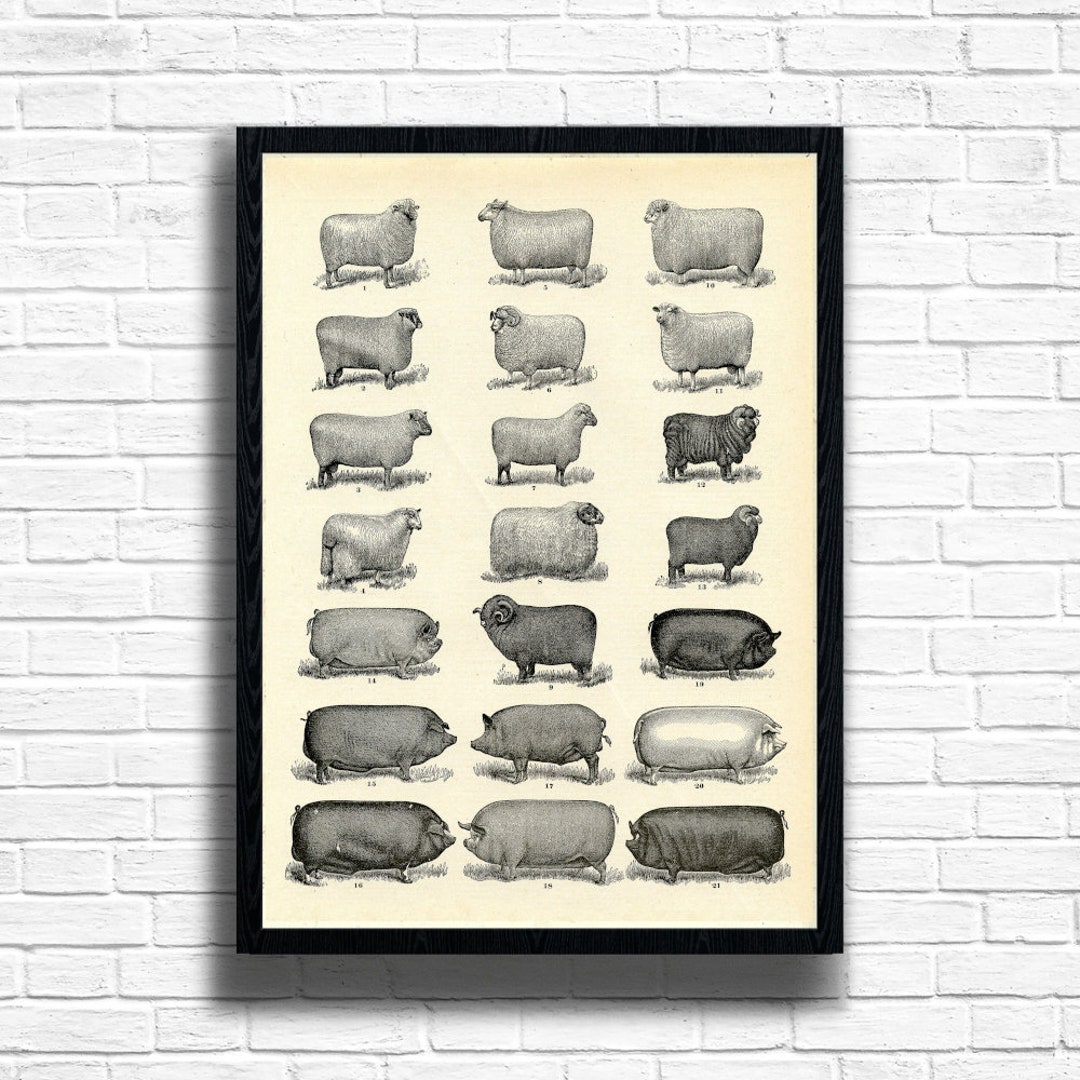 Vintage Sheep & Pigs Botanical Print: Farmhouse Plant Wall Art - Etsy
