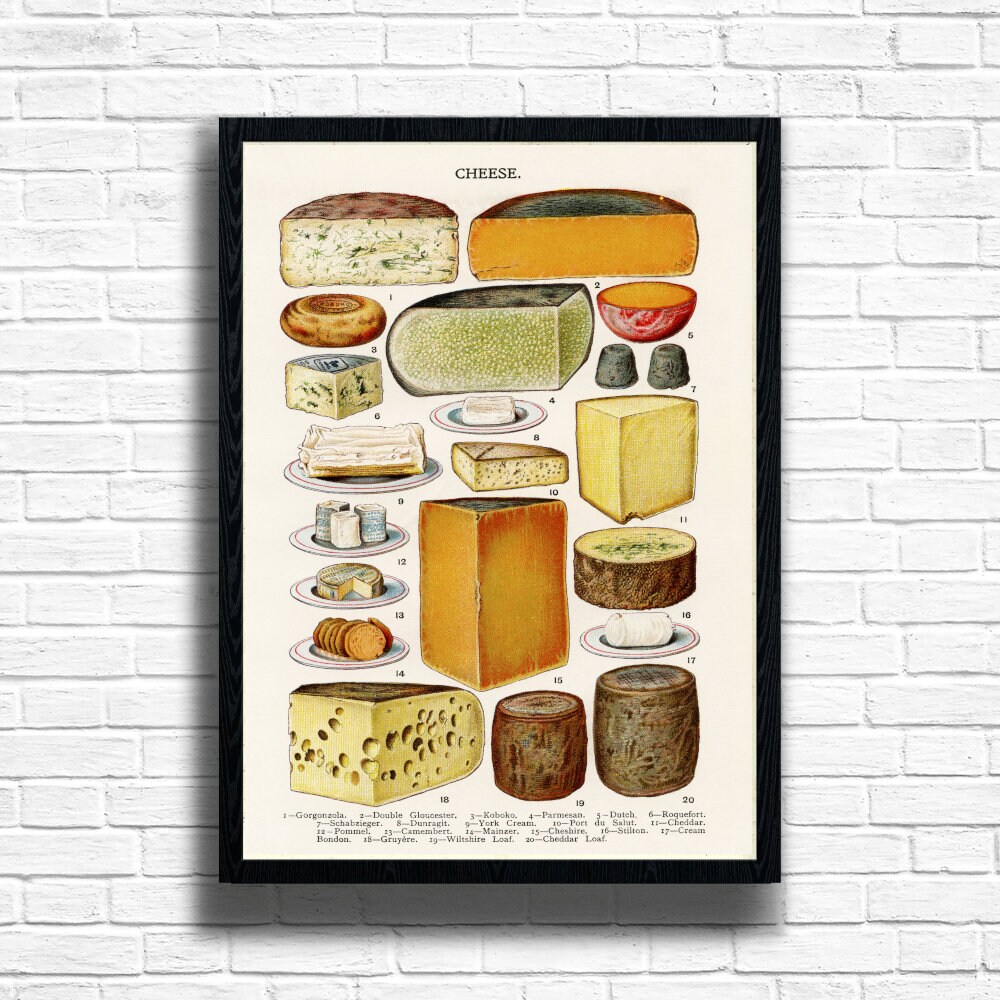 Blooms of Time: Cheese Chart Vintage Botanical Illustration Art Prints ...