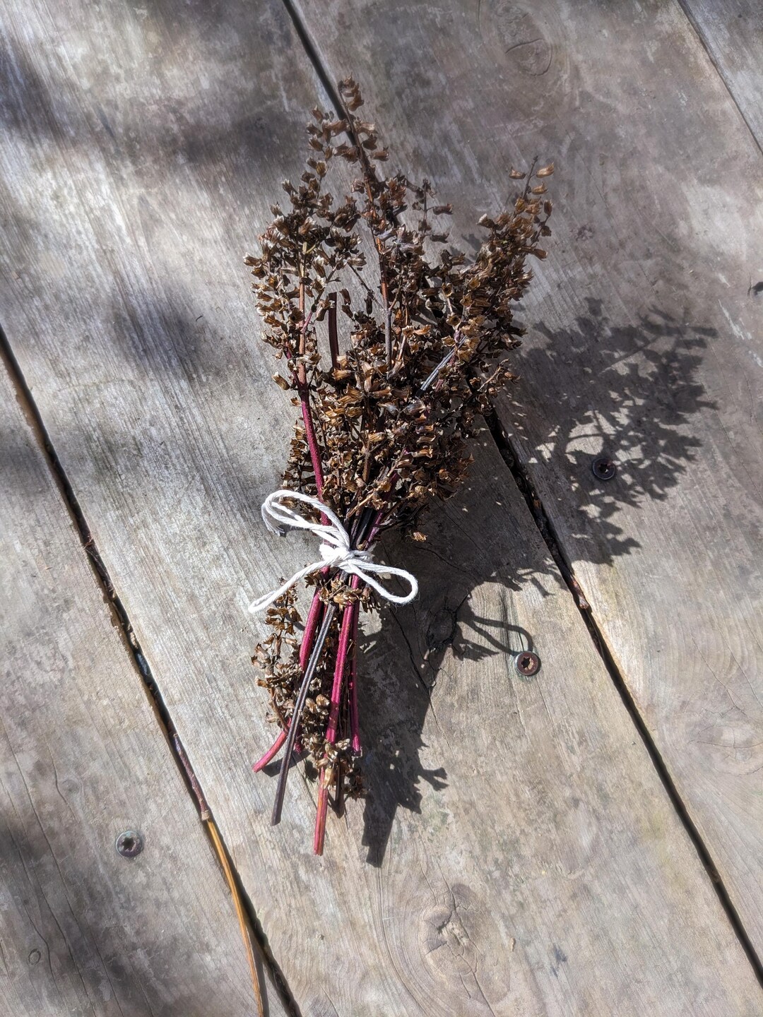 Purple Perilla Mint Dried Flowers and Stems, Natural, Alter, Herbal - Etsy