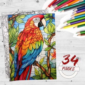 macaw coloring pages to print