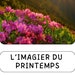 Imagine Spring With Real Images. - Etsy