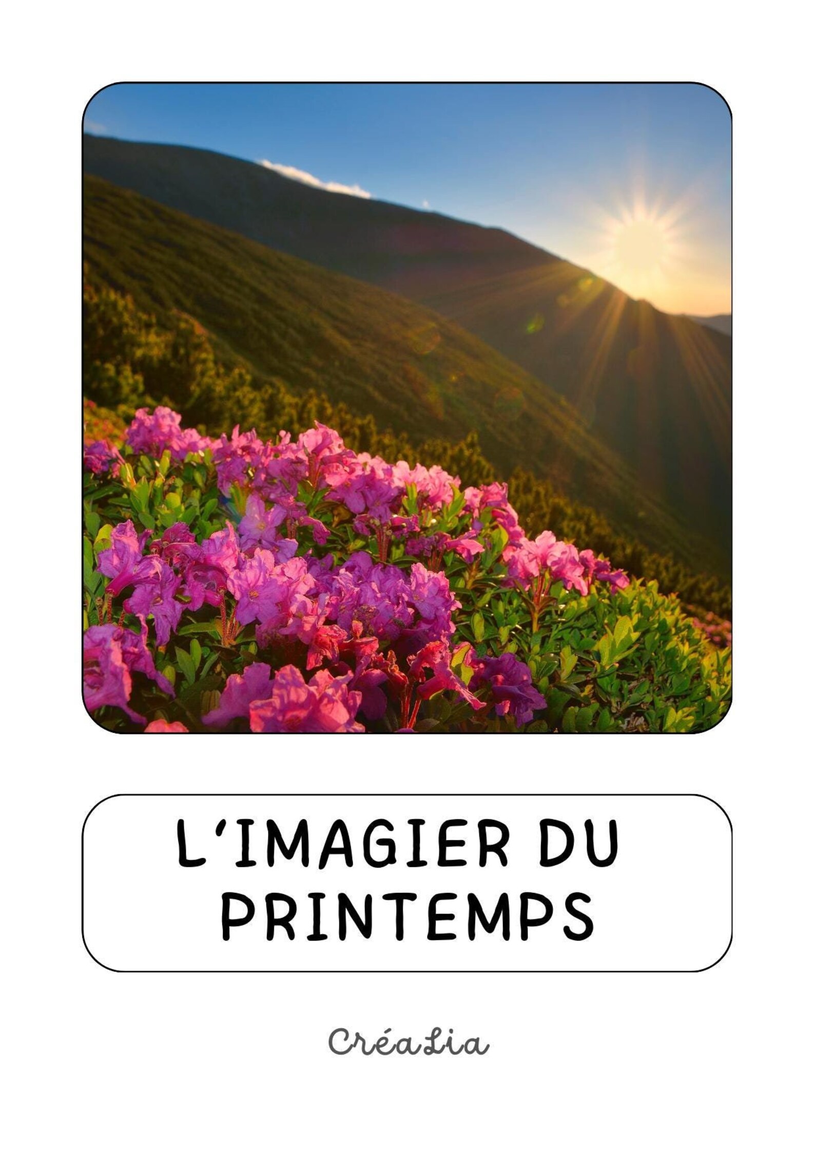 Imagine Spring With Real Images. - Etsy