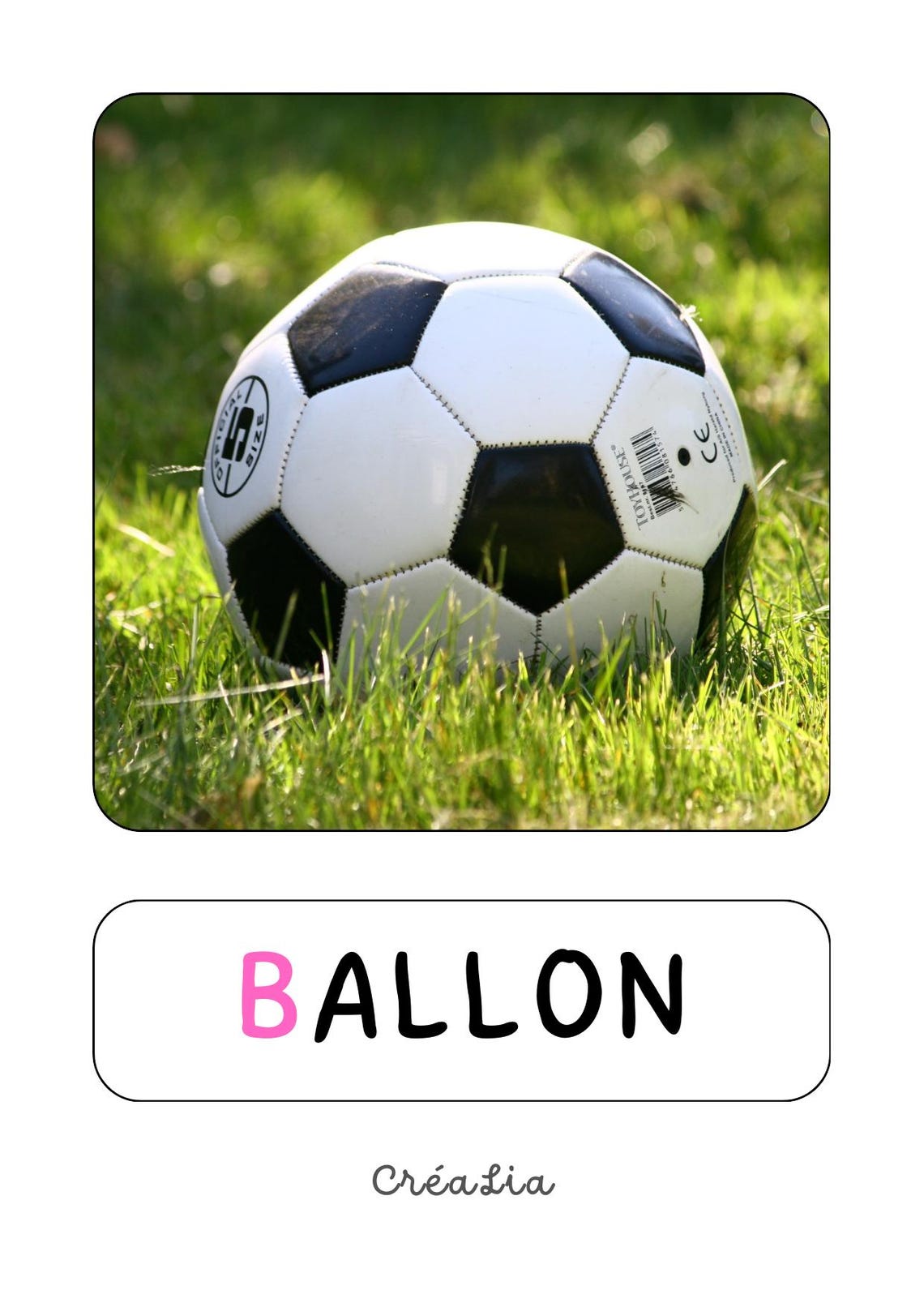 ABC FRANÇAIS - Imagier de l’alphabet en Français . Abécédaire avec des ...