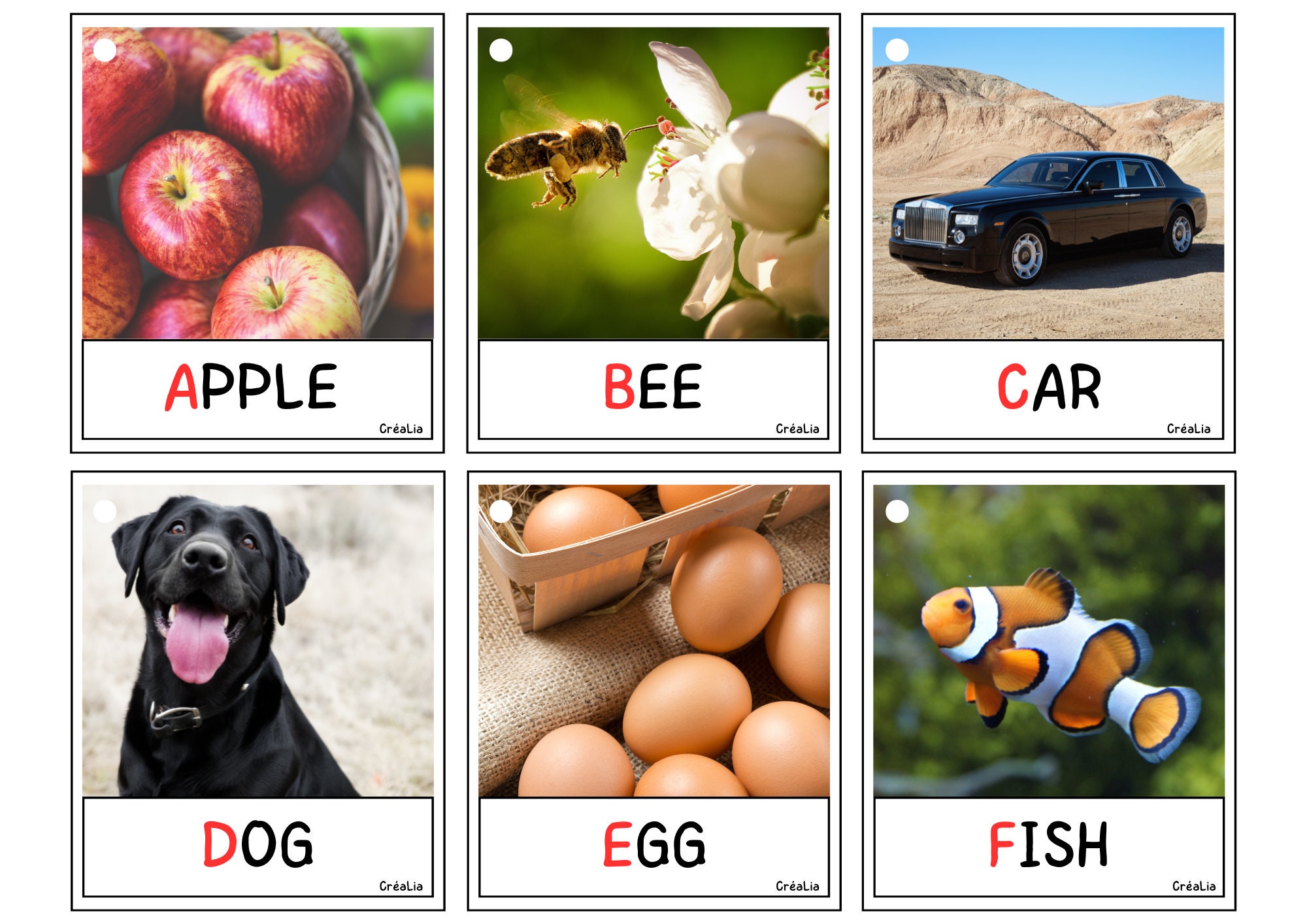 ENGLISH ABC Picture of the Alphabet in English. ABC in English - Etsy