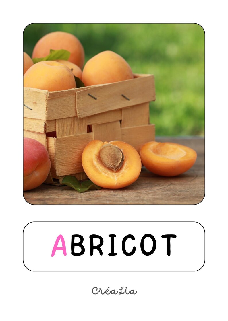 ABC FRANÇAIS - Imagier de l’alphabet en Français . Abécédaire avec des ...