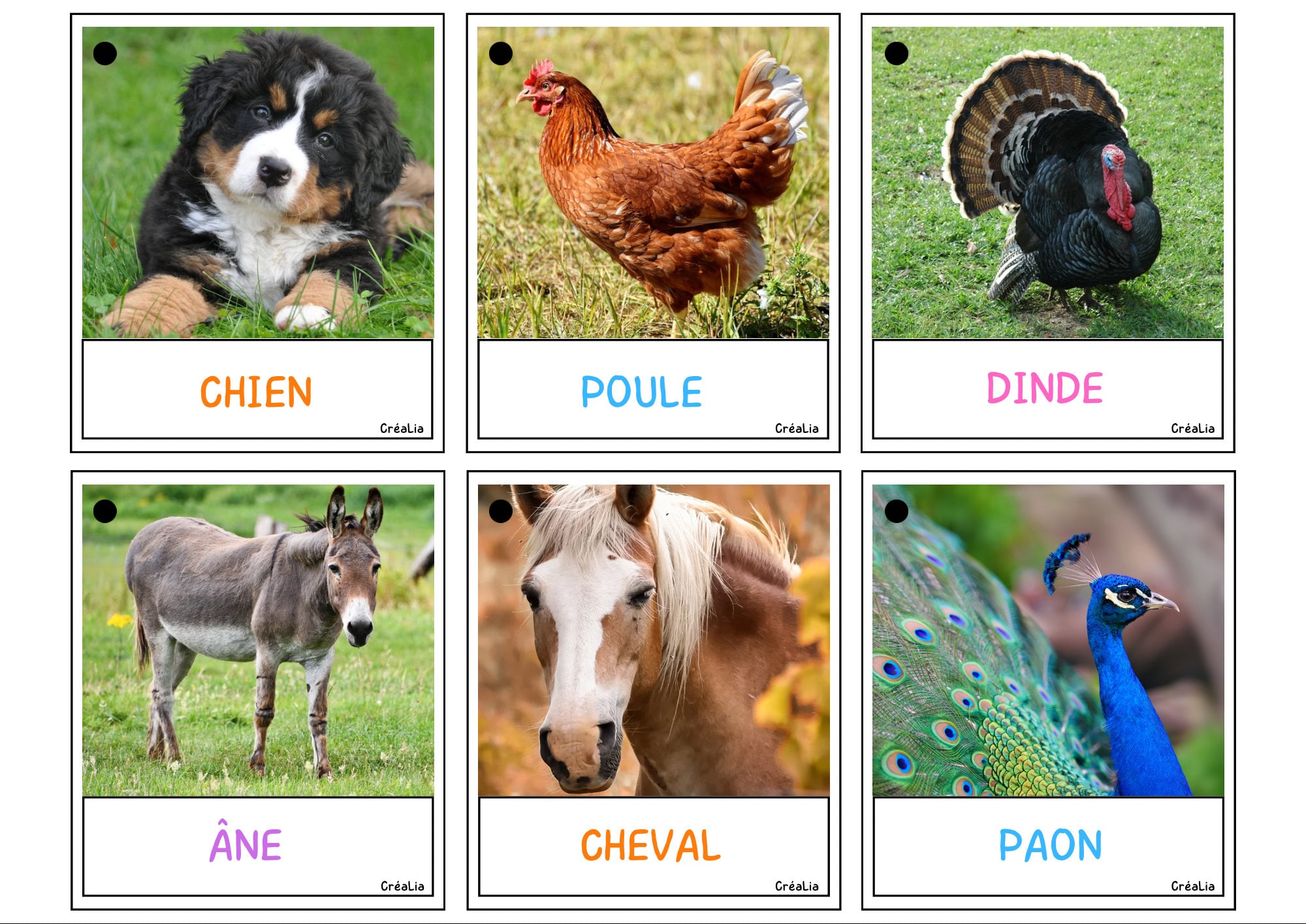 Imagier des animaux de la ferme - Etsy France