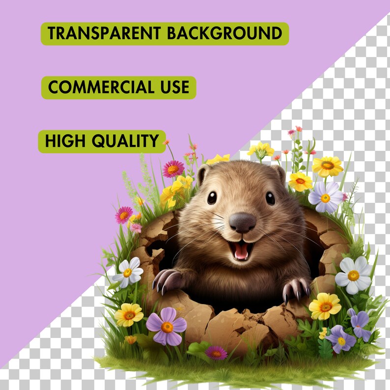 Groundhog Clipart Pack Canva Use Clipart Commercial Use Groundhogs Day ...