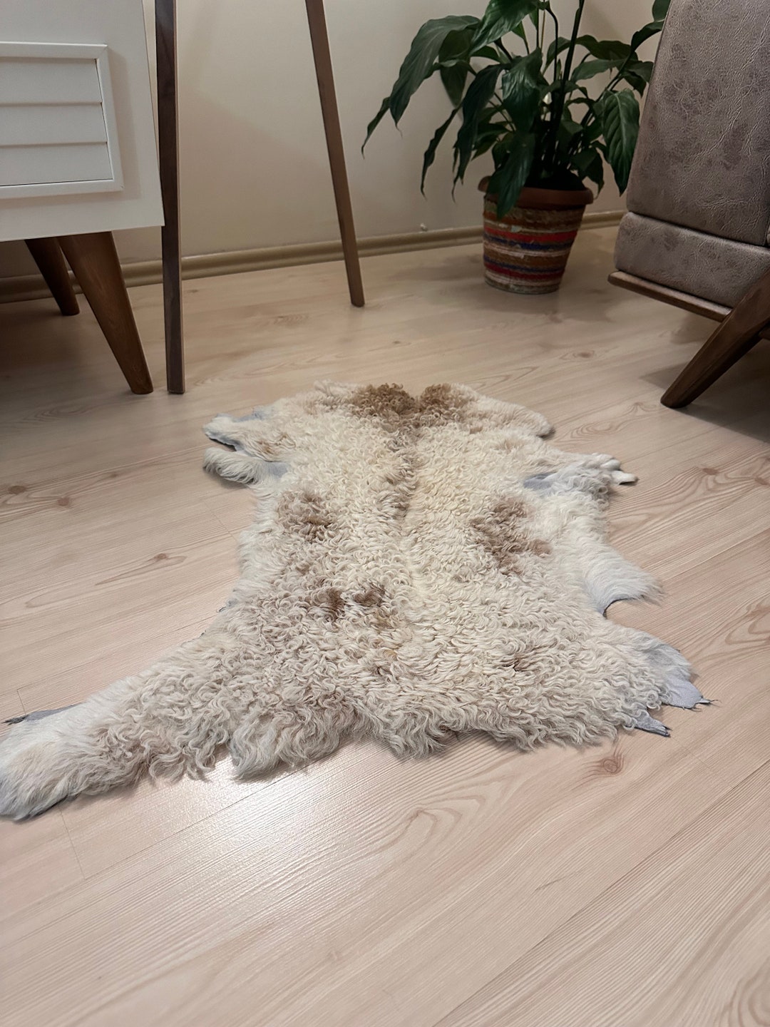 Tigrado Curly Sheepskin, Upholstery Sheepskin, Sheepskin Rug, Natural ...