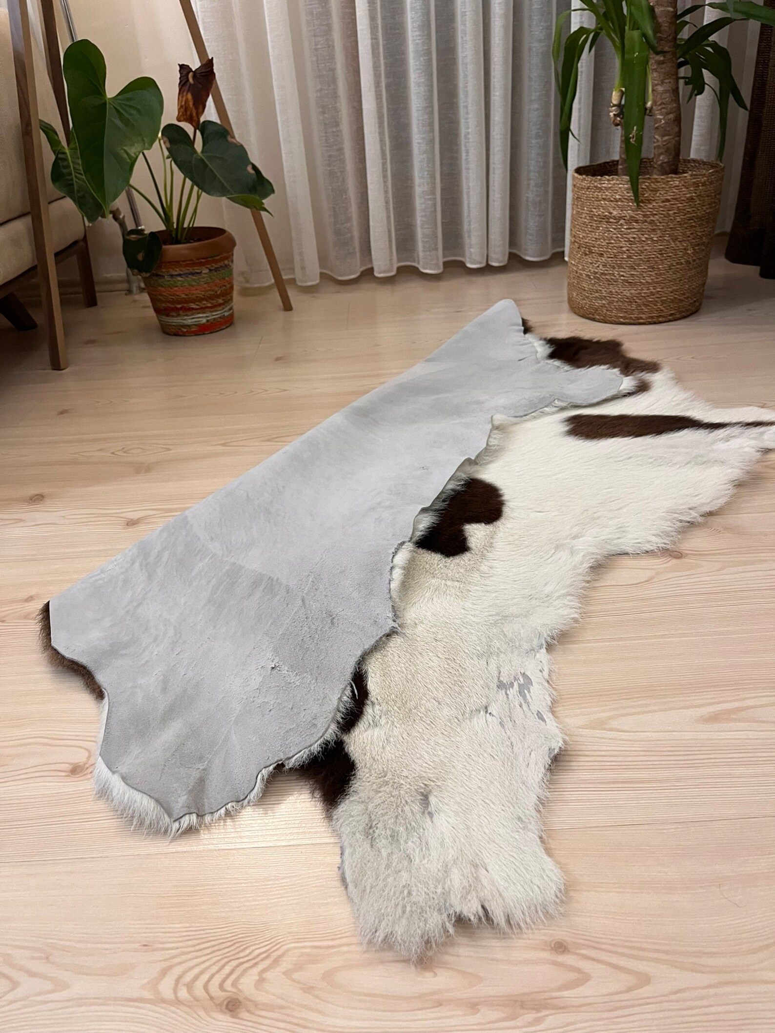 Set of 2 Natural Calf Hide Rugs: Genuine Leather Area Rugs (2.9x2.6 Ft ...
