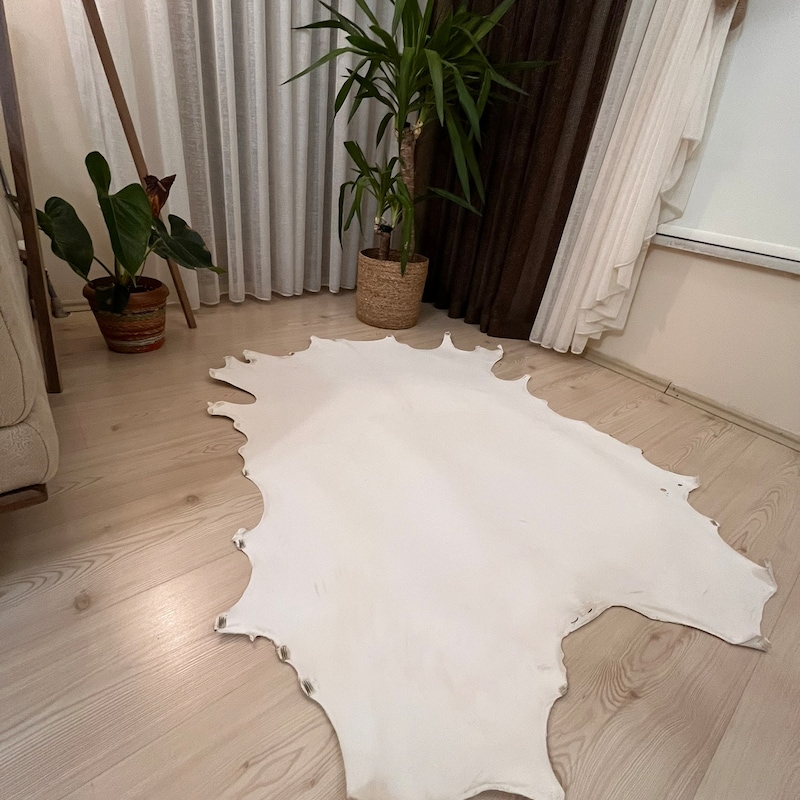 Real Animal Skin - Etsy