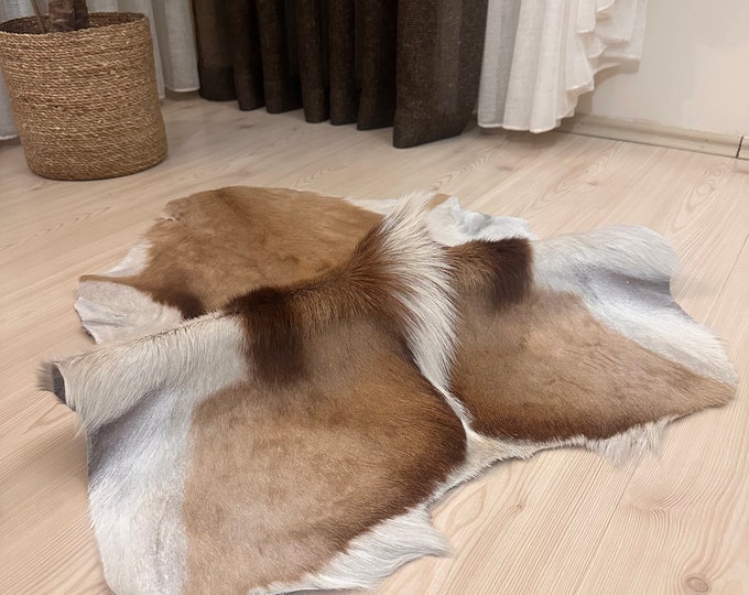 Springbok / Small Antelope Skin Rug. Full Authentic Hide. Leather ...