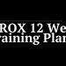 Hyrox 12 Week Training Plan: Fitness and Endurance Training Plan. - Etsy