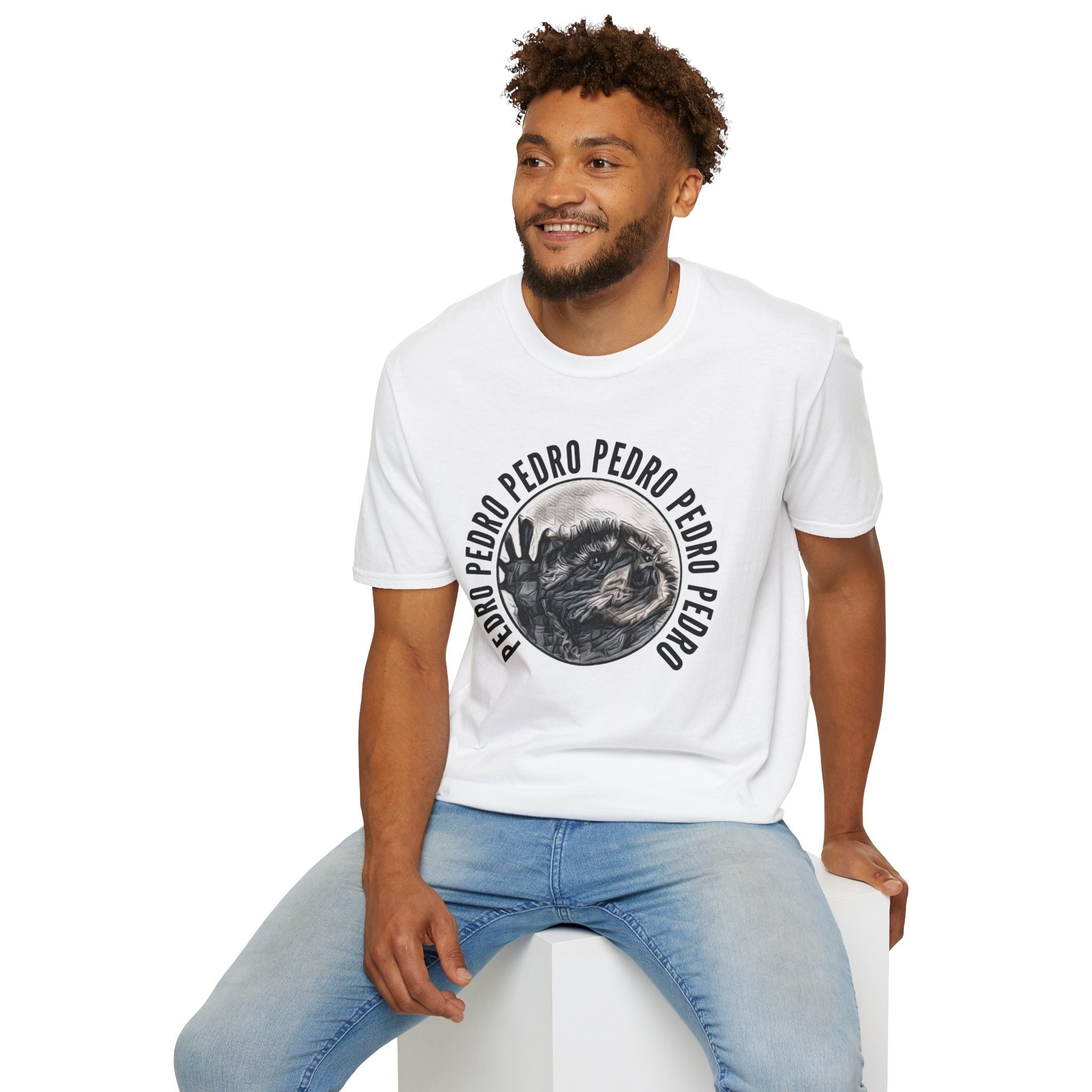 Pedro Pedro Racoon Meme T-shirt, Racoon Meme, Pedro Song, Funny Shirt ...
