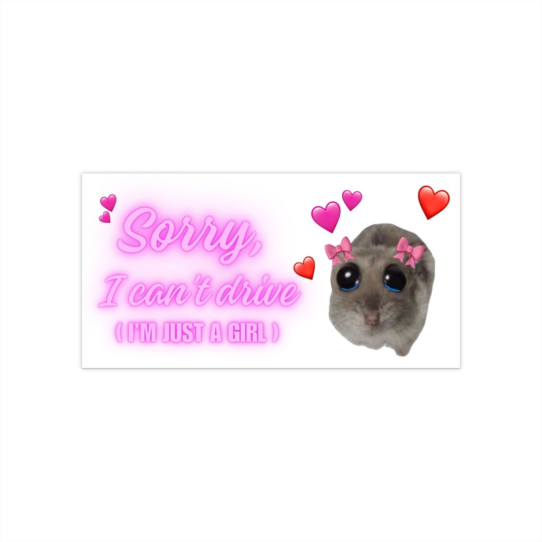 Sorry, I Can't Drive Funny Car Sticker, Sad Hamster Meme, Meme Sticker ...