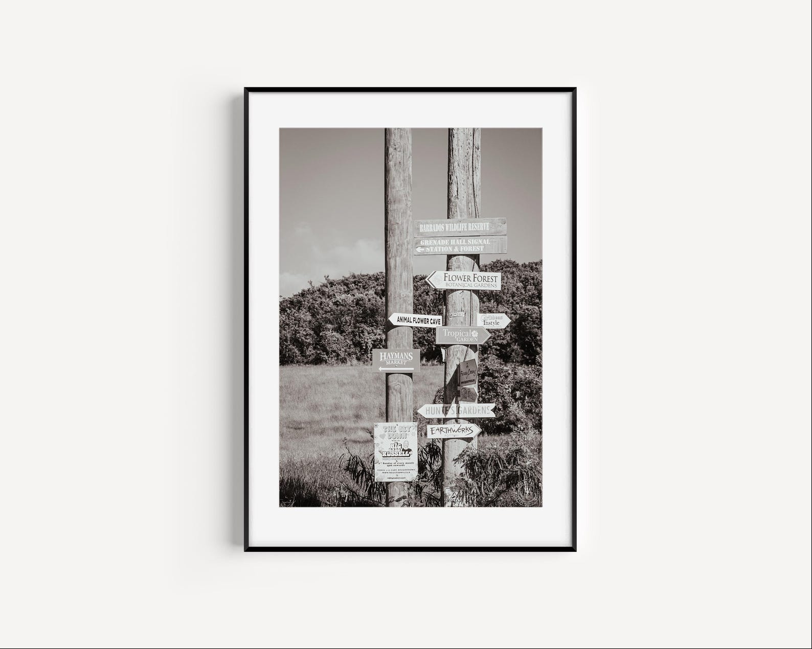 Barbados Travel-inspired Decor, Black and White Barbados Street Signs ...