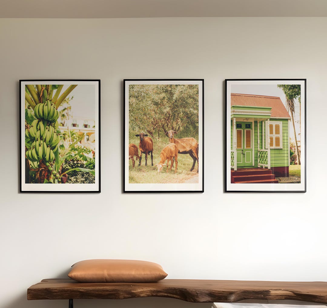 Caribbean Countryside Wall Decor, Barbados Culture Wall Art Photography ...