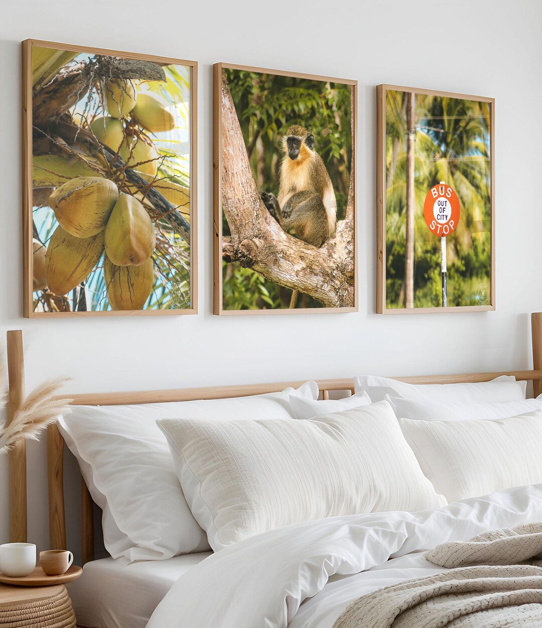 Tropical Color Photography, Bajan Monkey, Signs & Coconuts, Caribbean ...