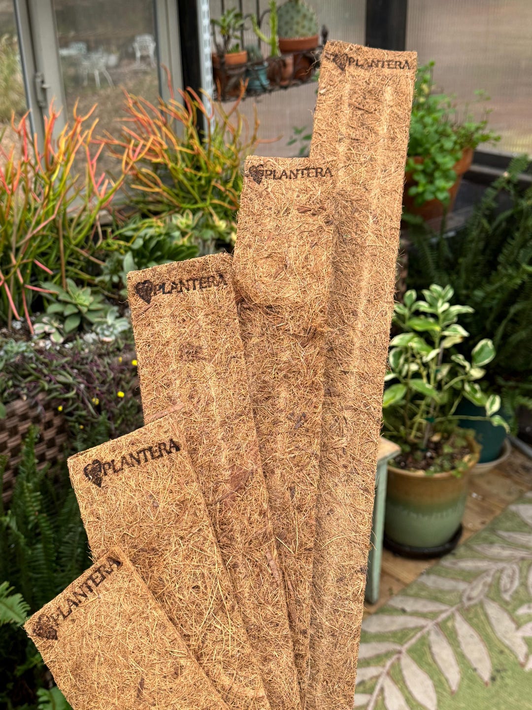 PLANTERA PLANT PLANK 5 Pack Sampler Pack! Free Shipping! Coco Coir ...
