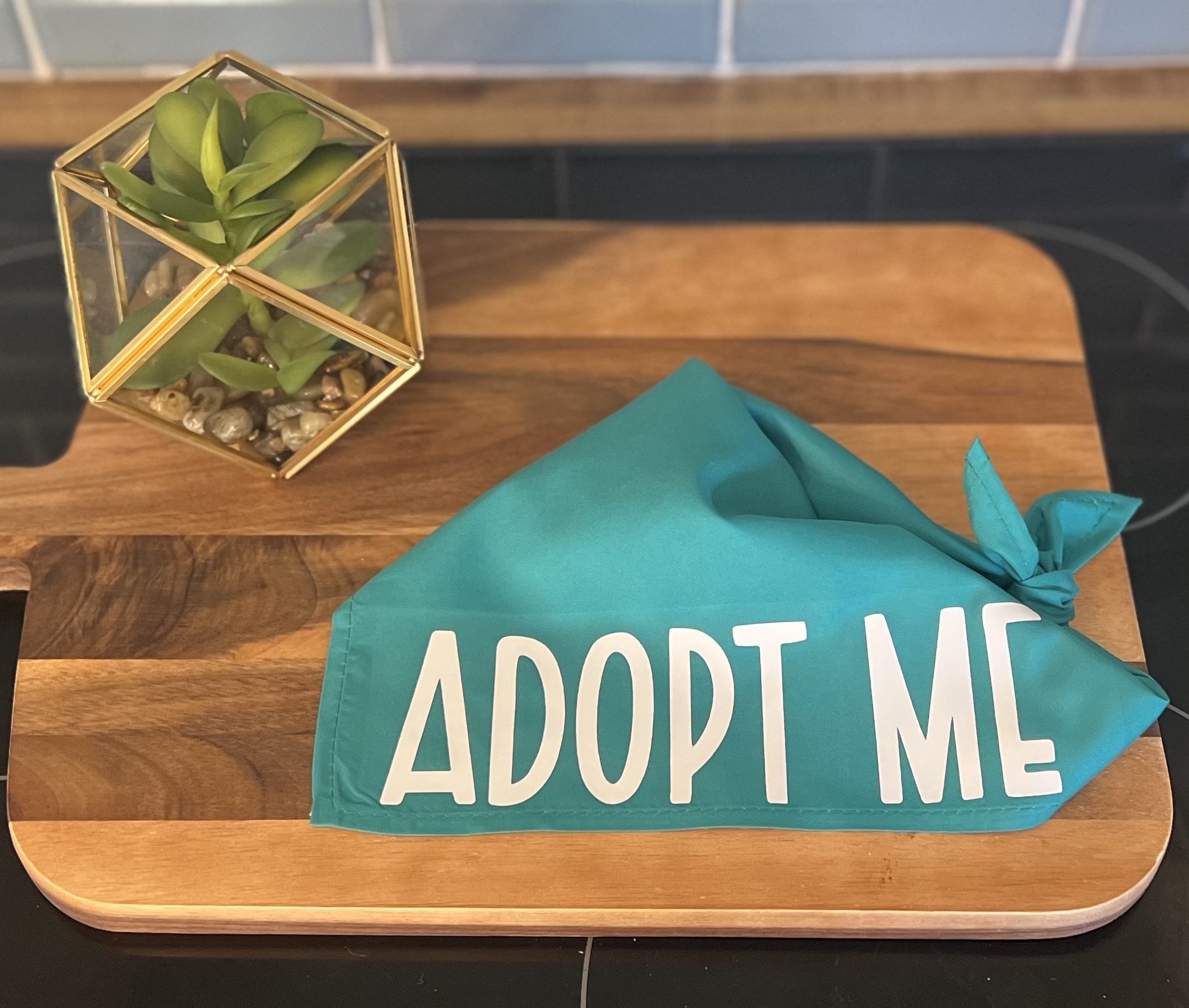 Adopt Me - Adopt Me Foster Pet Bandana - Triangle Tie on - 26" - Etsy
