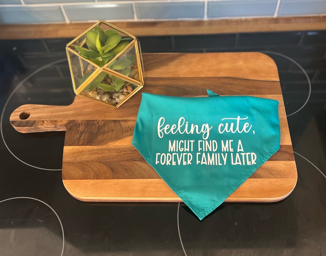 Adopt Me Pet Bandana "feeling Cute" Pet Bandana Foster Dog Bandana ...