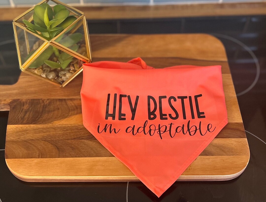 Adopt Me Pet Bandana hey Bestie Pet Bandana Foster Dog Bandana Adopt Me ...