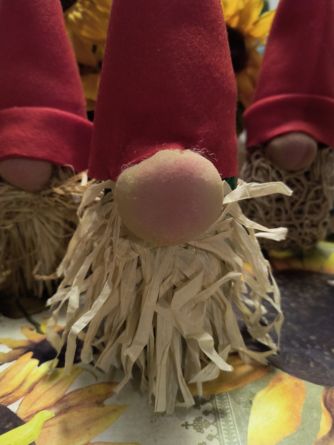 Sam the Gnome - Etsy