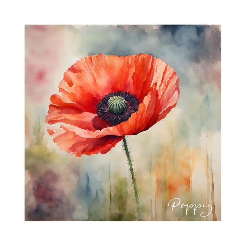 Printable August Birth Month Flower Poppy - Etsy