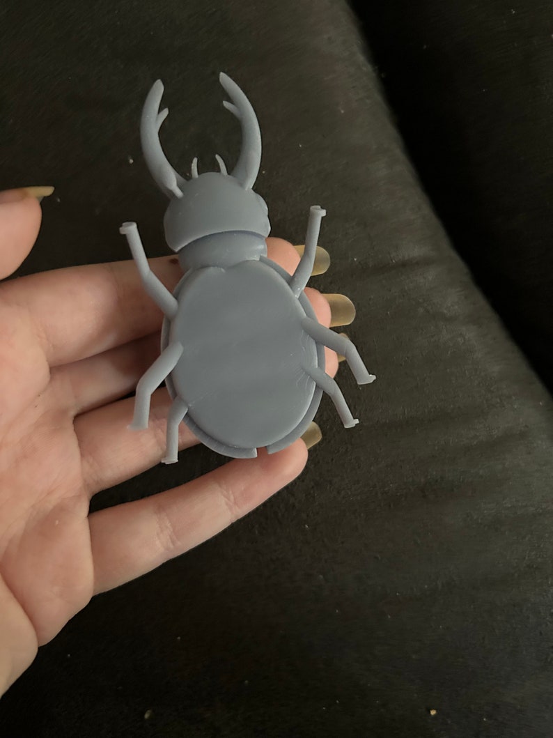 Stag Beetle Keychain - Etsy