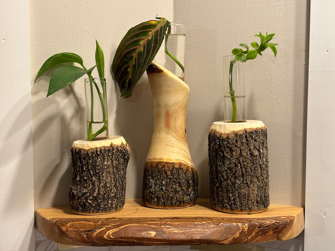 Manitoba Maple Plant Propagation Tubes, Wood Bud Vases (set of 3) - Etsy