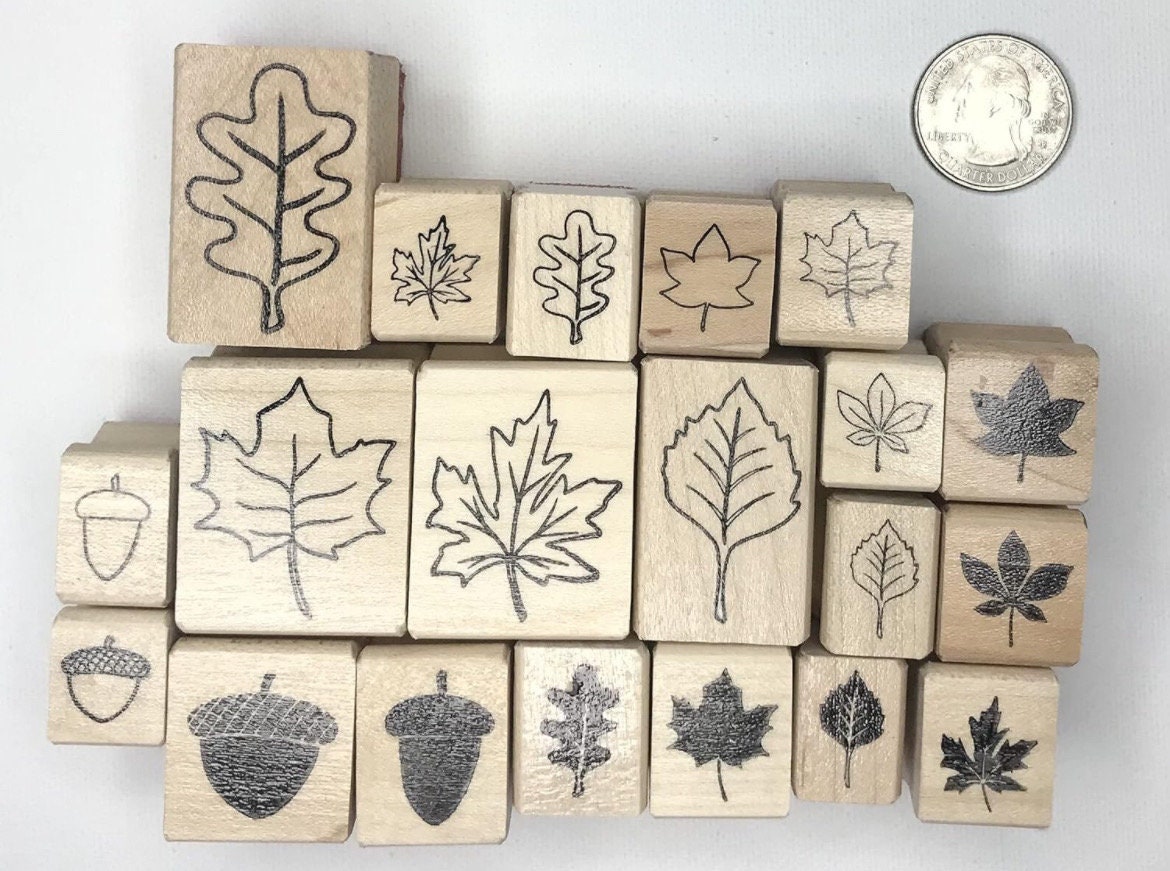 Leaf and Acorn Stamp Set - Etsy