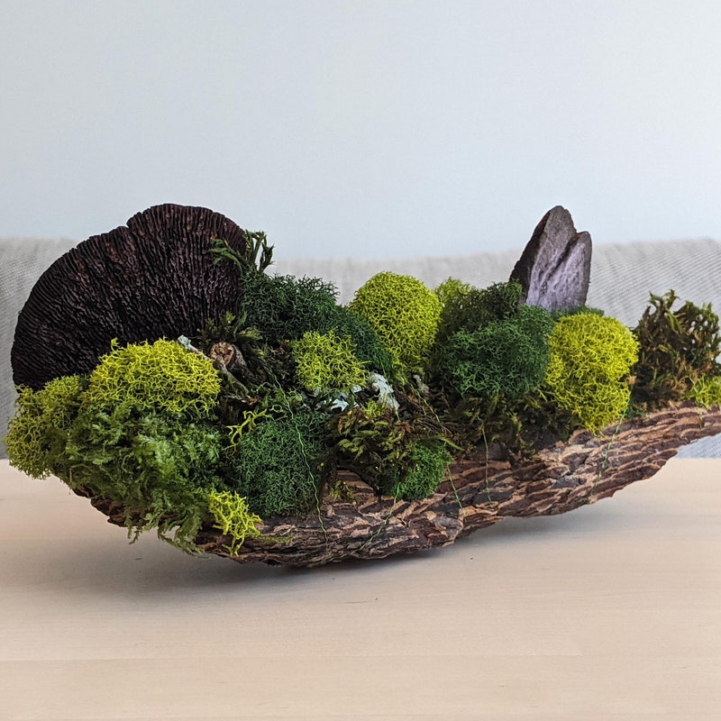 Moss Table Decor - Etsy