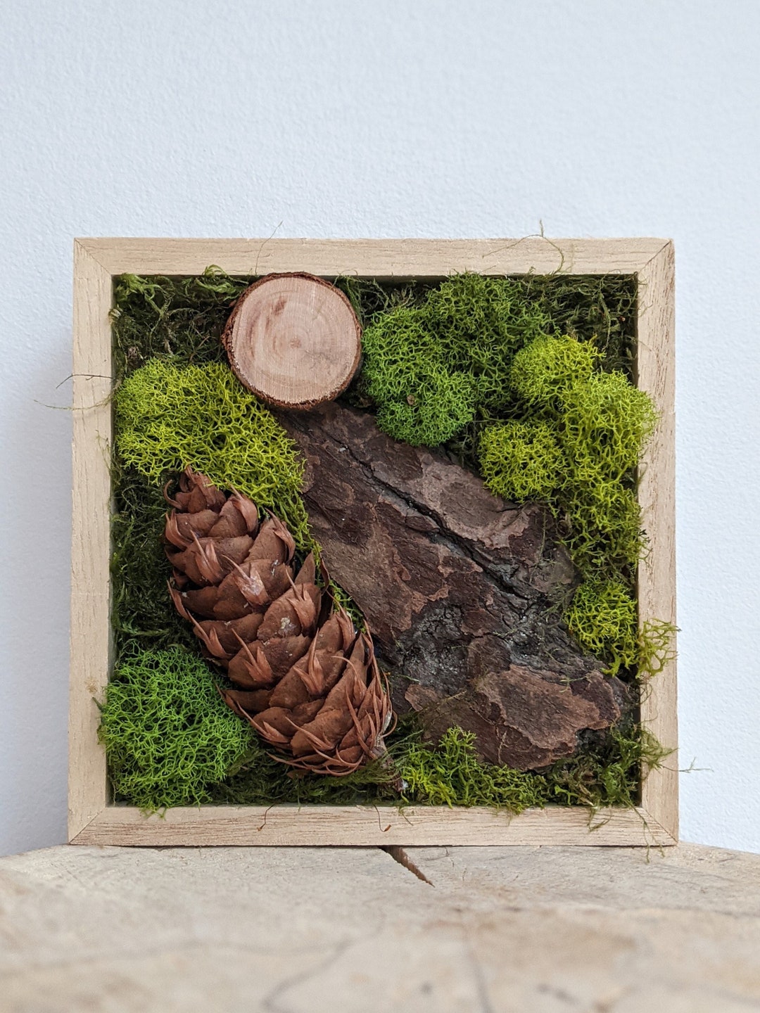 Square Green Moss Art 5X5 Square Moss Decor Forest Green Moss Collage ...