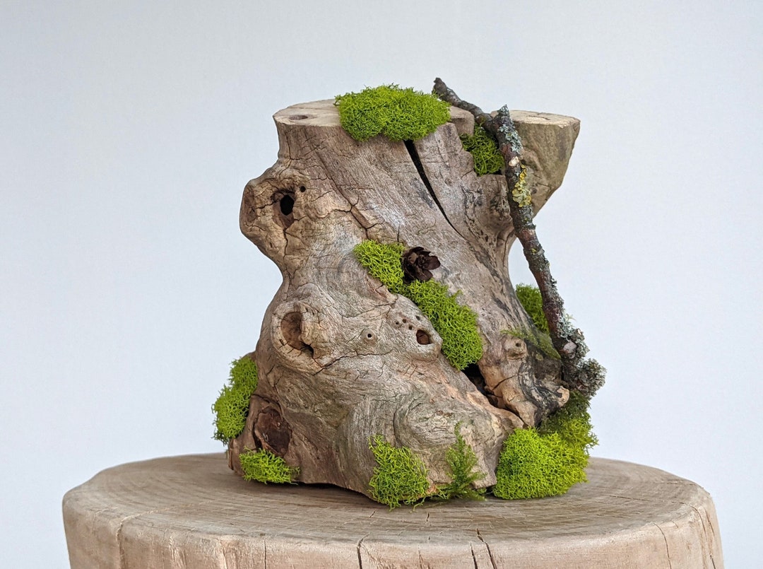 Forest Tree Trunk Coffee Table Decoration | Moss Tree Stump Home Decor ...