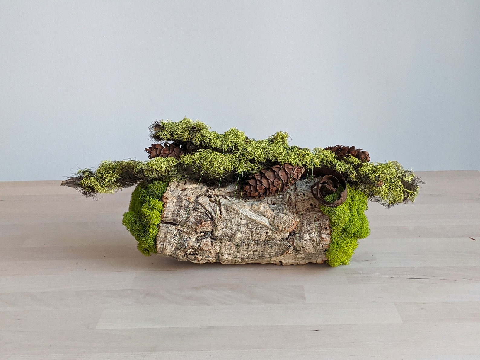 Forest Tree Trunk Coffee Table Decoration Moss Tree Stump Home Decor ...