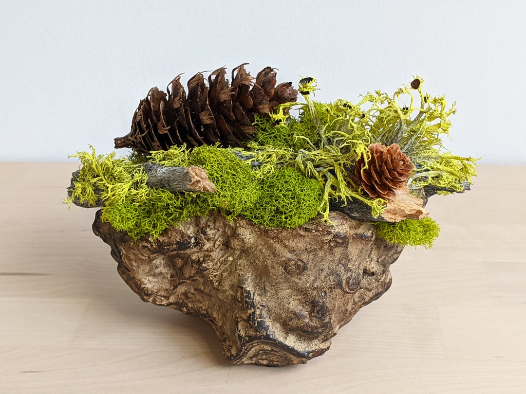 Forest Theme Centerpiece | Moss Centerpiece | Fall Decor | Foraged ...