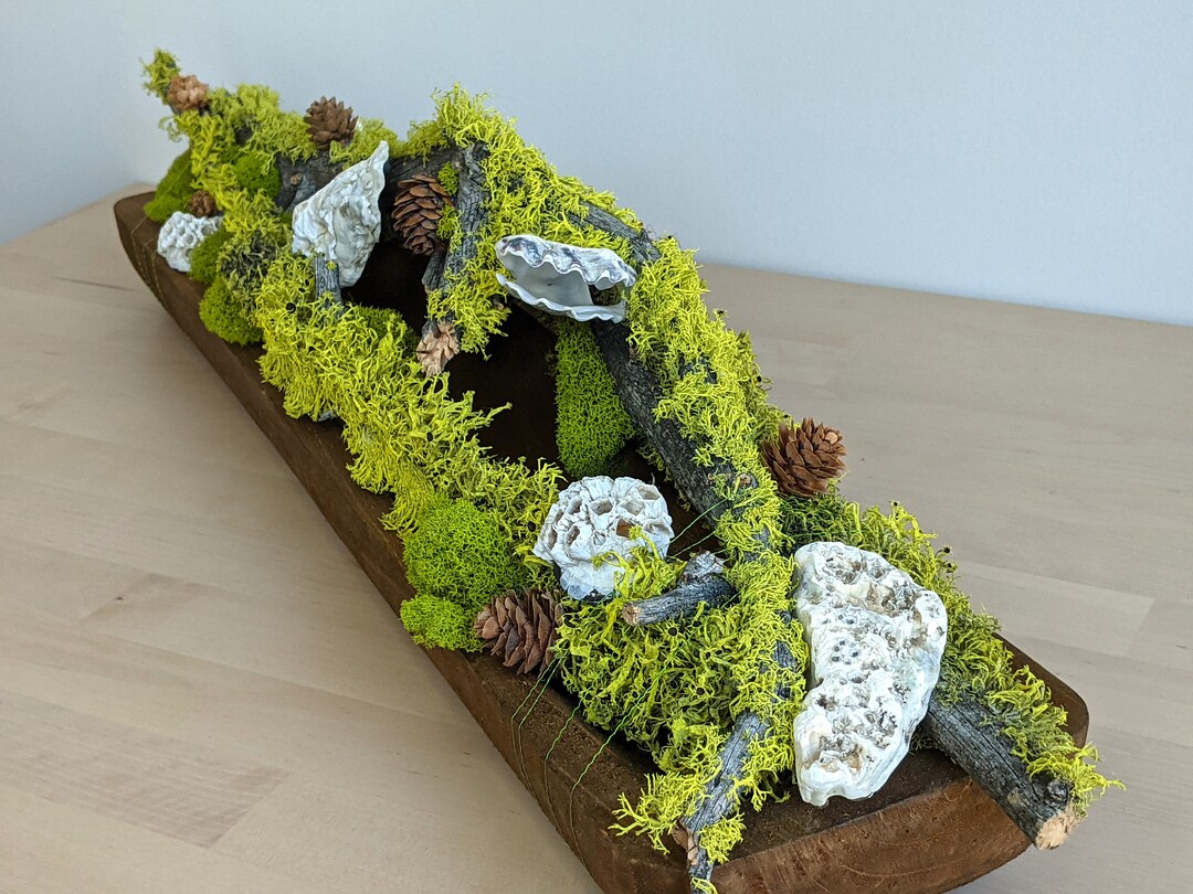 Long Moss Centerpieces Long Moss Tray Forestcore Coffee Table ...